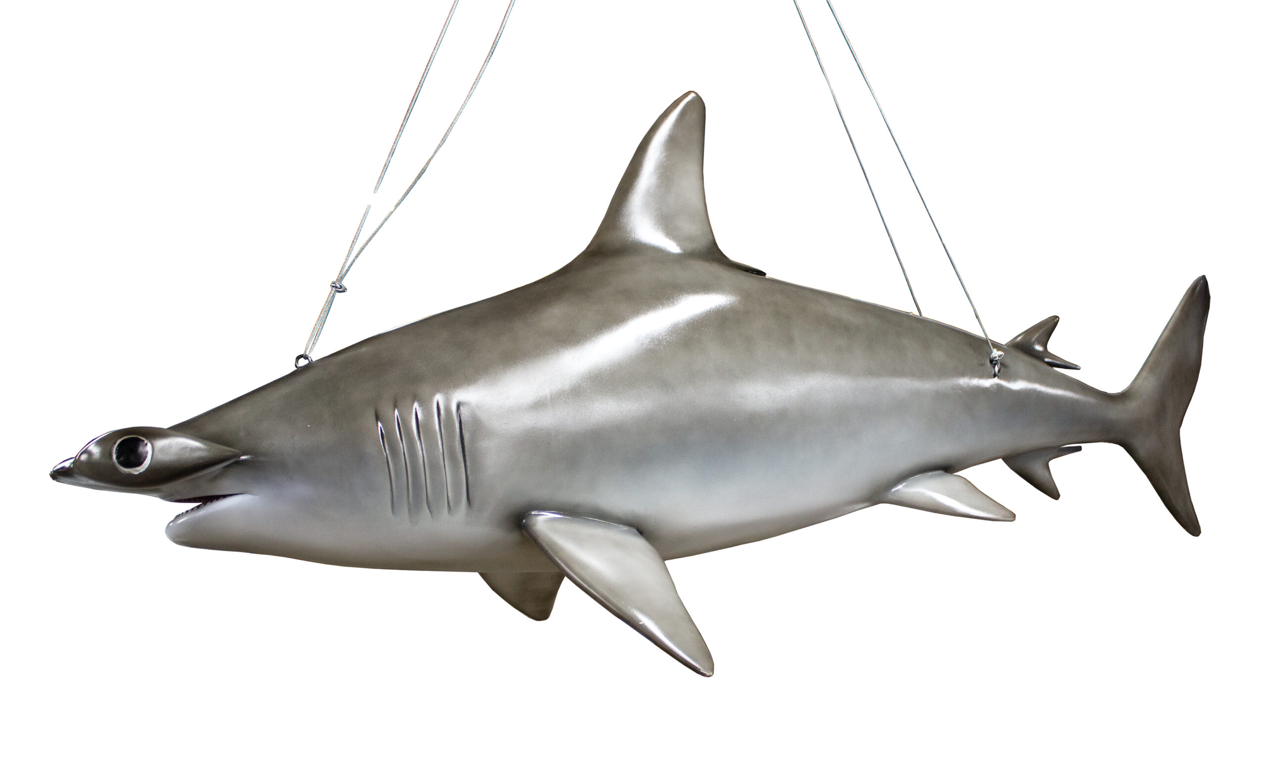 Sharks Archives - Moby Dick Specialties